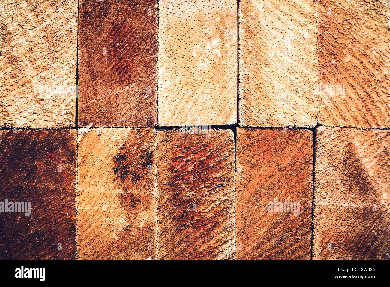 Cross section of tree trunk in rectangular shape close up texture ...