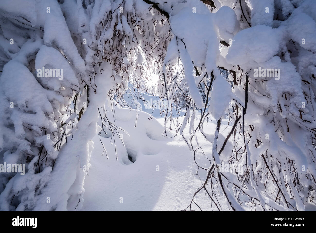 Season landscape scenery countryside hi-res stock photography and ...