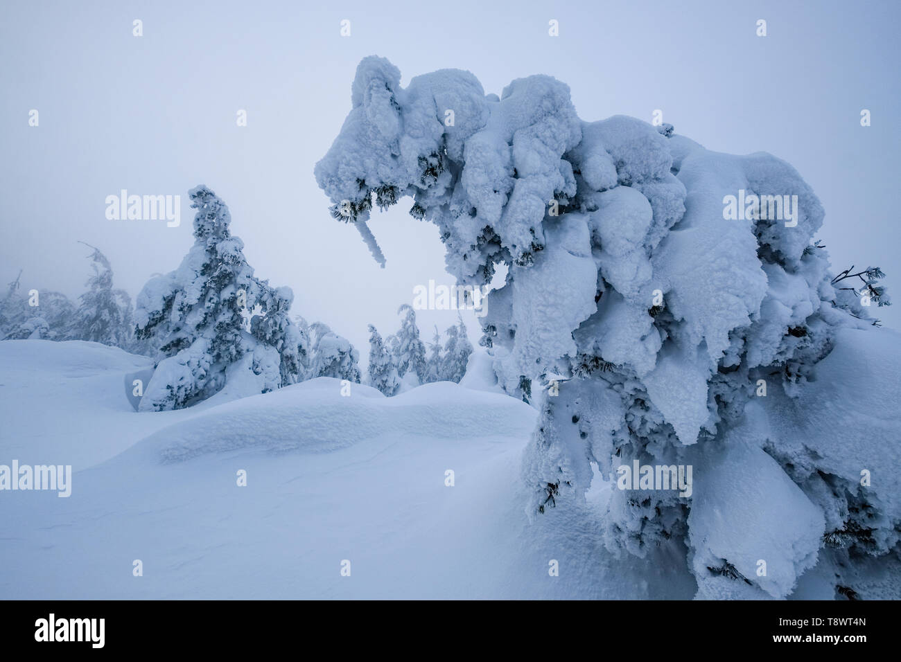 Scenic winter season landscape hi-res stock photography and images - Alamy