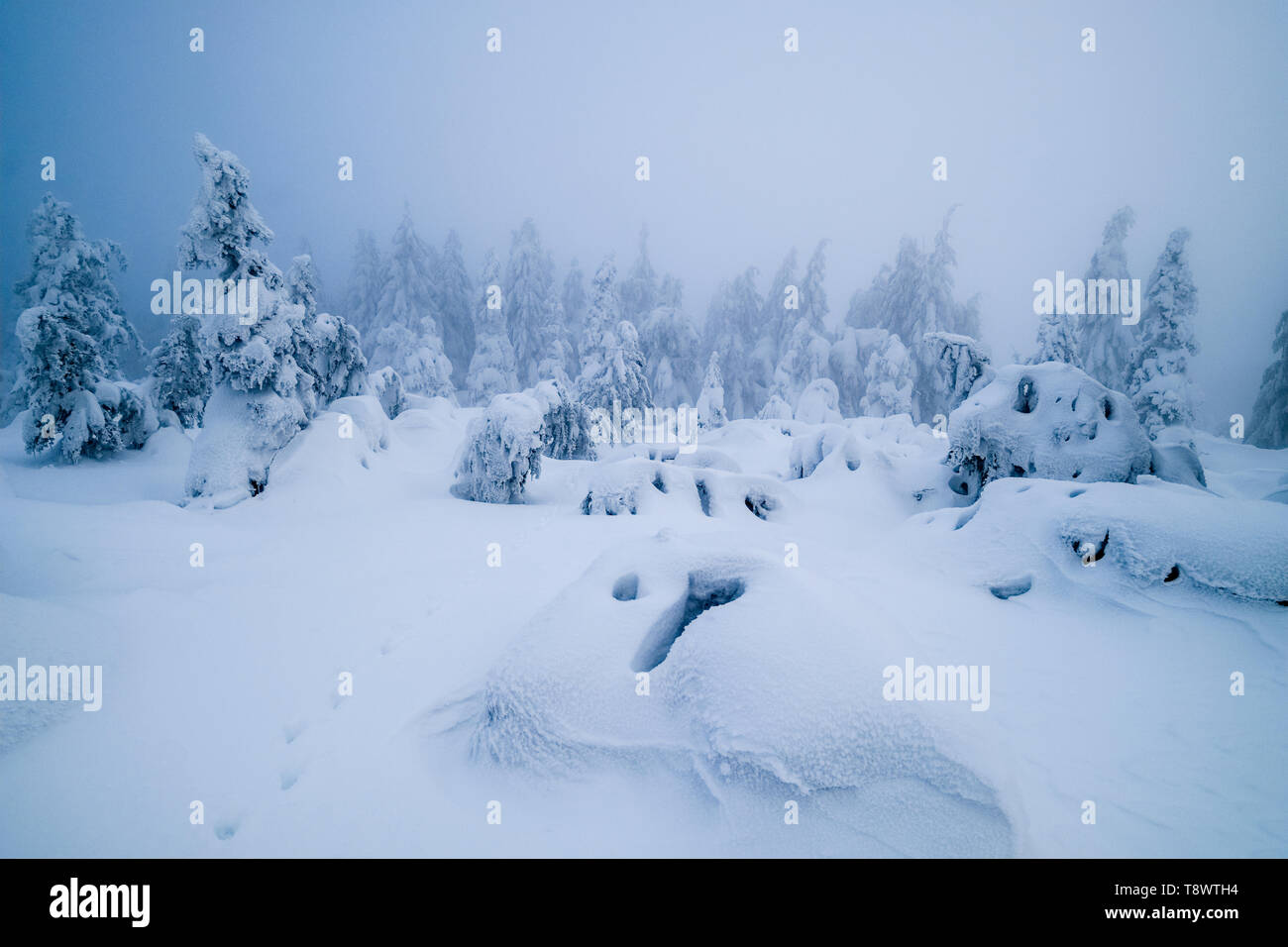 Hill trees deep winter hi-res stock photography and images - Alamy