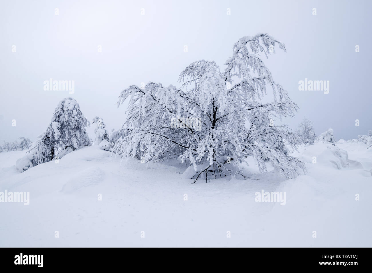 Deep winter landscape hi-res stock photography and images - Alamy
