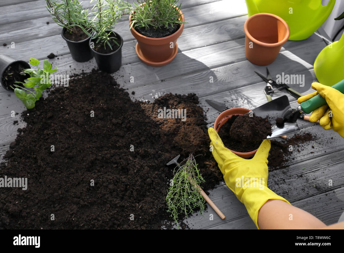 Filling pot soil hi-res stock photography and images - Alamy