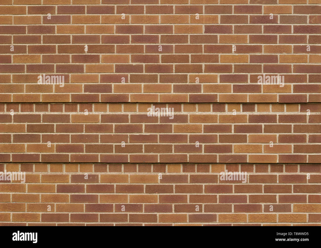 Unusual bond hi-res stock photography and images - Alamy