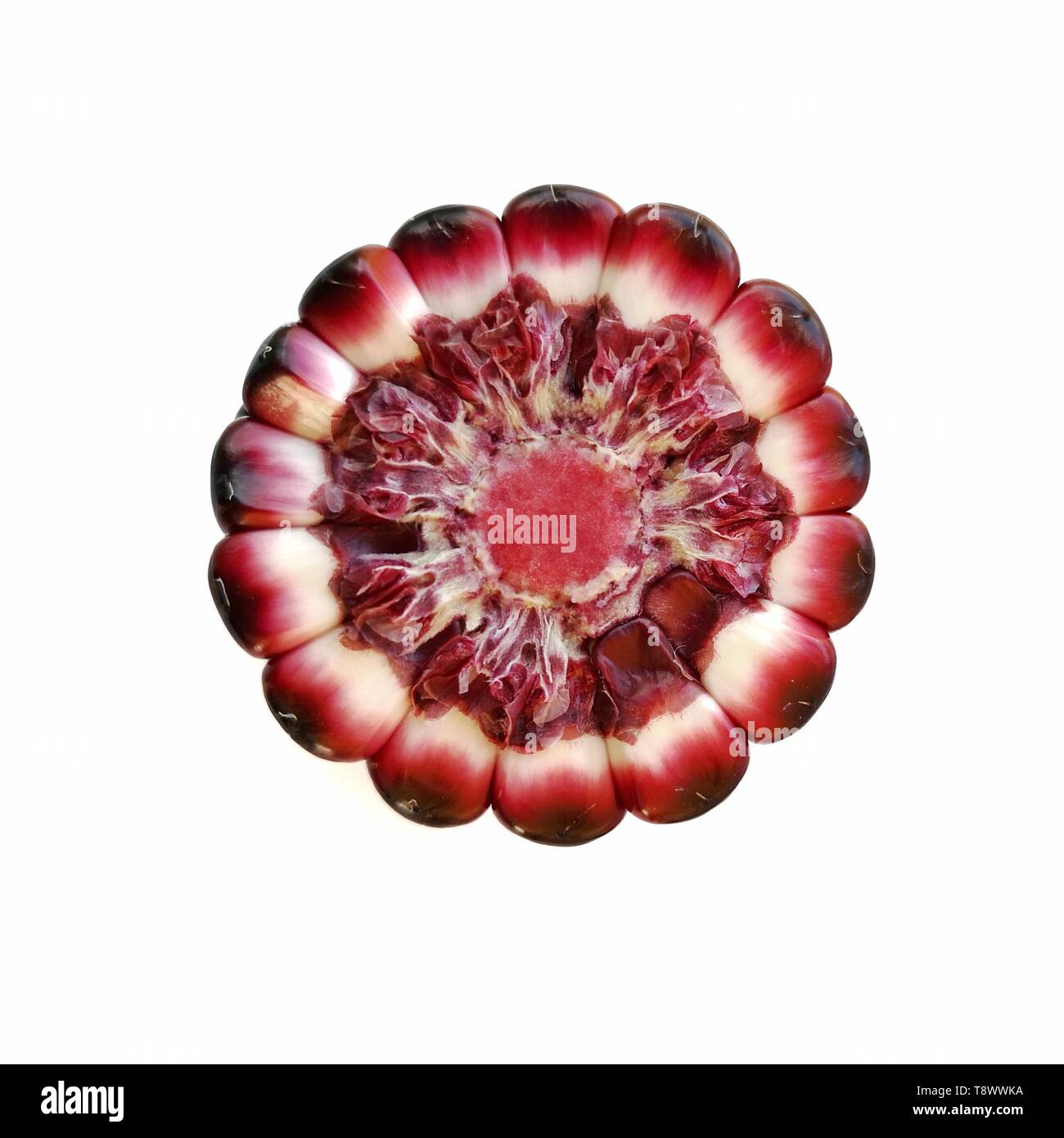 Corn kernel section hi-res stock photography and images - Alamy