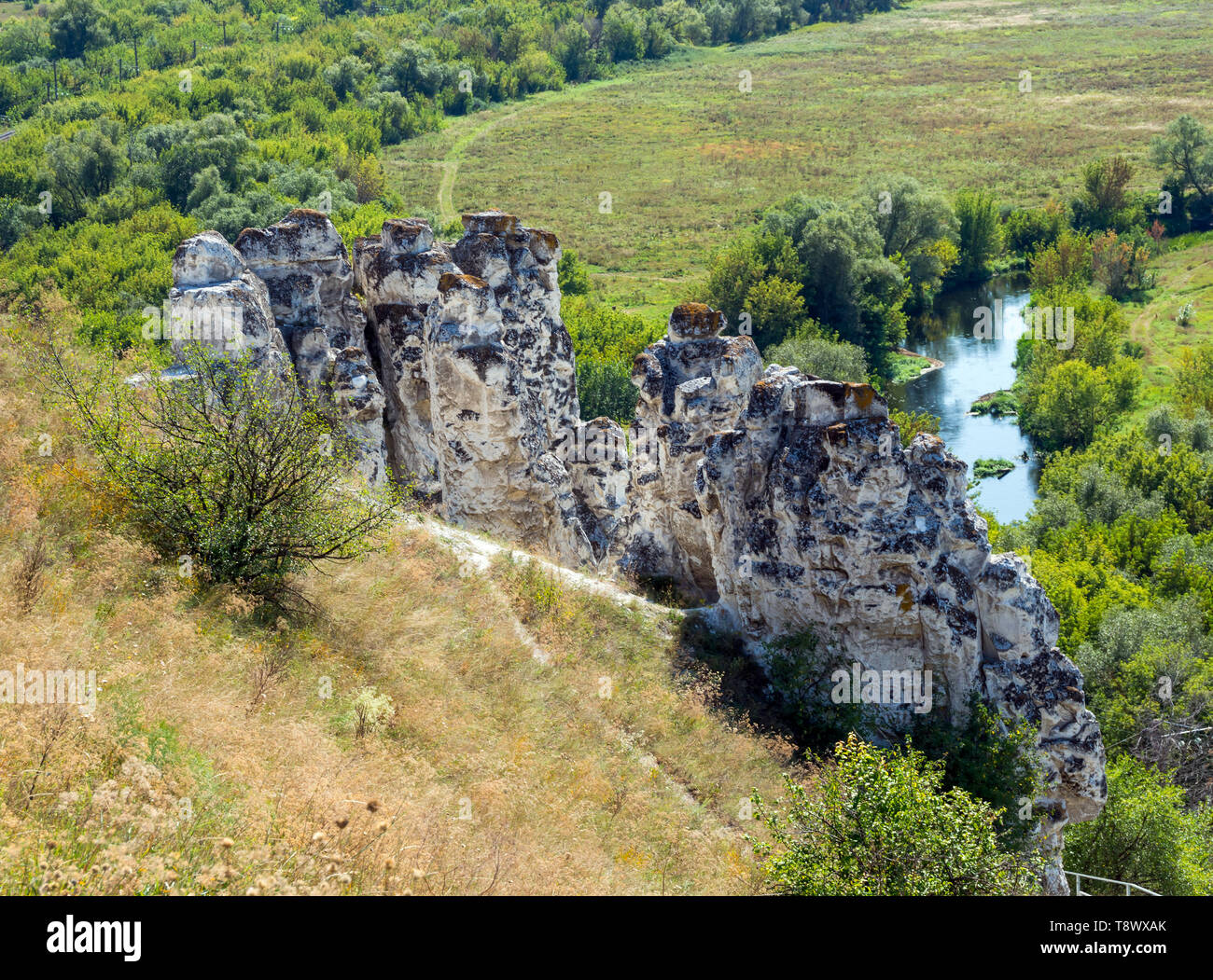 Chalk cliffs on the slope of the plateau of the Divnogorsk nature ...