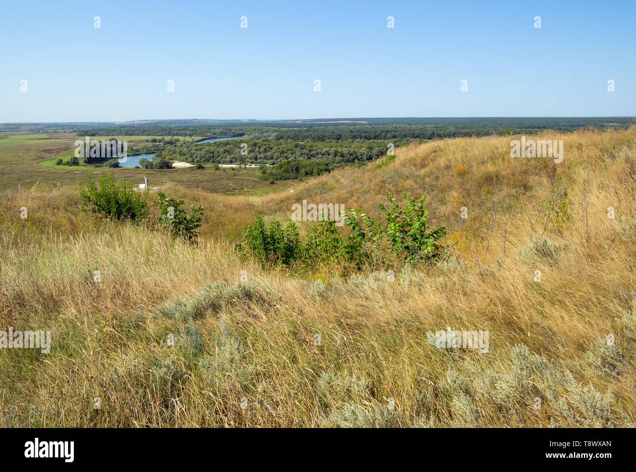 Mayatskay hi-res stock photography and images - Alamy