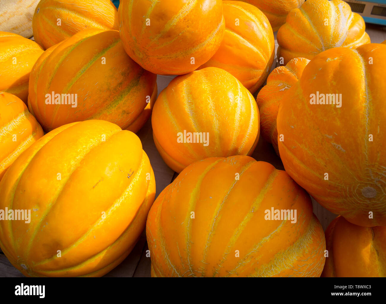 Melon varieties hi-res stock photography and images - Alamy