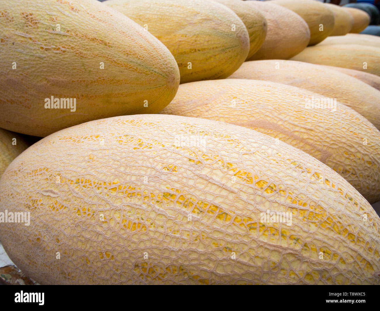 Mature melons hi-res stock photography and images - Alamy