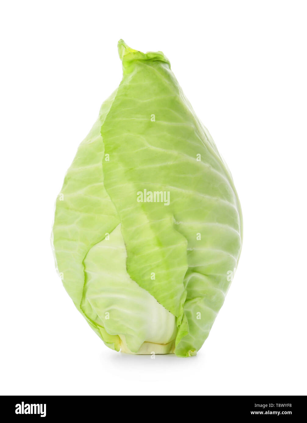 Fresh pointed cabbage on white background Stock Photo - Alamy