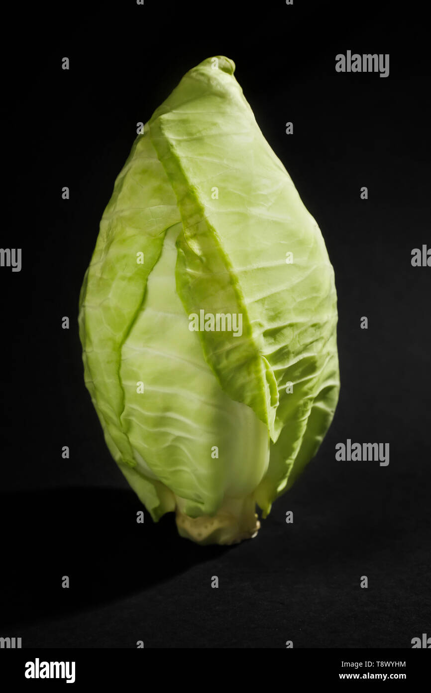 Fresh pointed cabbage on dark background Stock Photo - Alamy