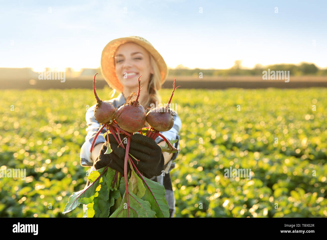 Female farmer beetroot in hi-res stock photography and images - Alamy