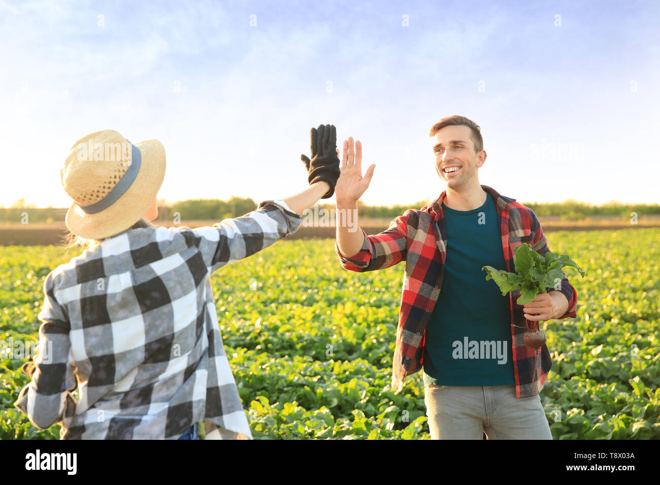 Farmers giving each other high-five in field Stock Photo - Alamy