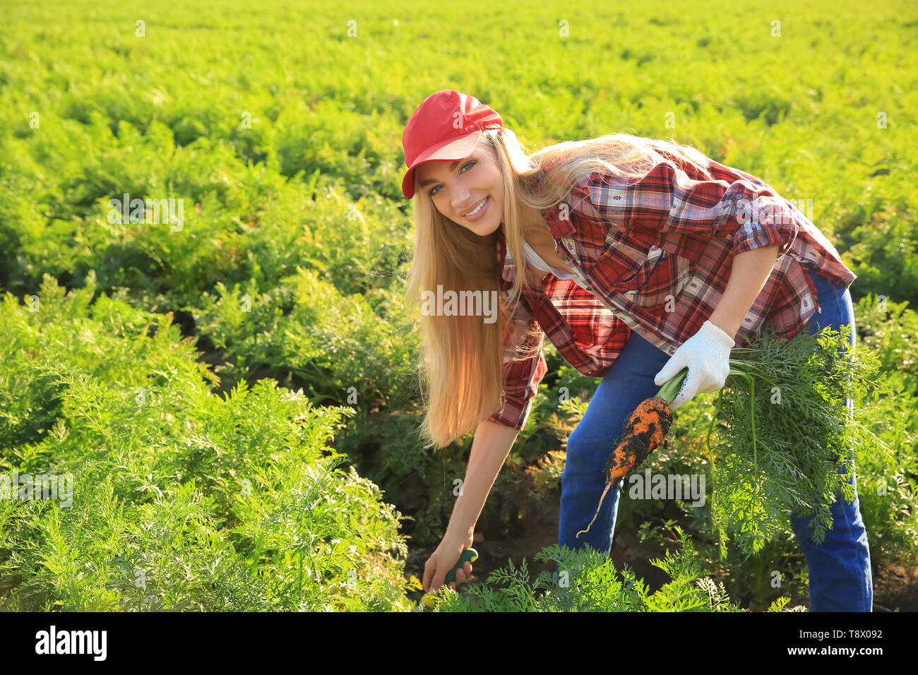 Female farmer working in field Stock Photo - Alamy