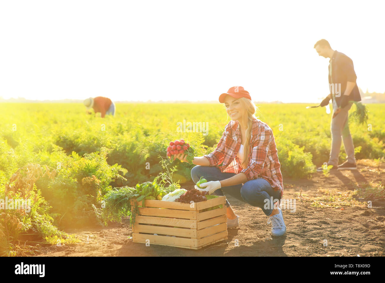 Female farmer gathering crop hi-res stock photography and images - Alamy