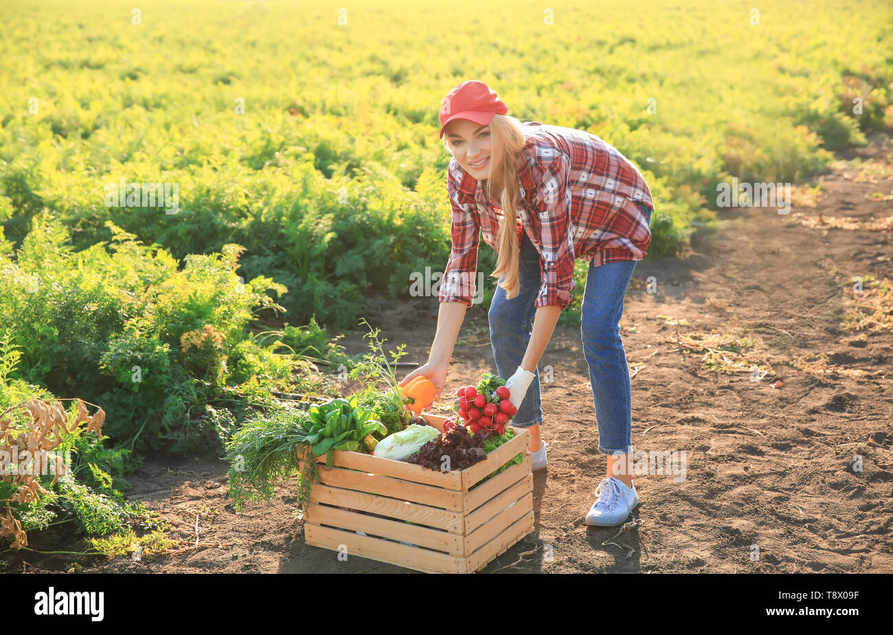 Female farmer gathering vegetables in field Stock Photo - Alamy