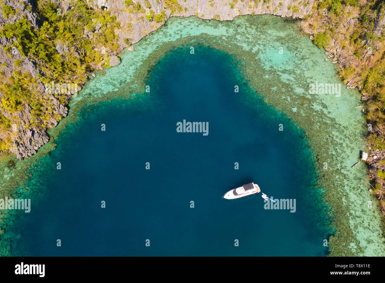 Palawan Diving Philippines High Resolution Stock Photography and Images ...