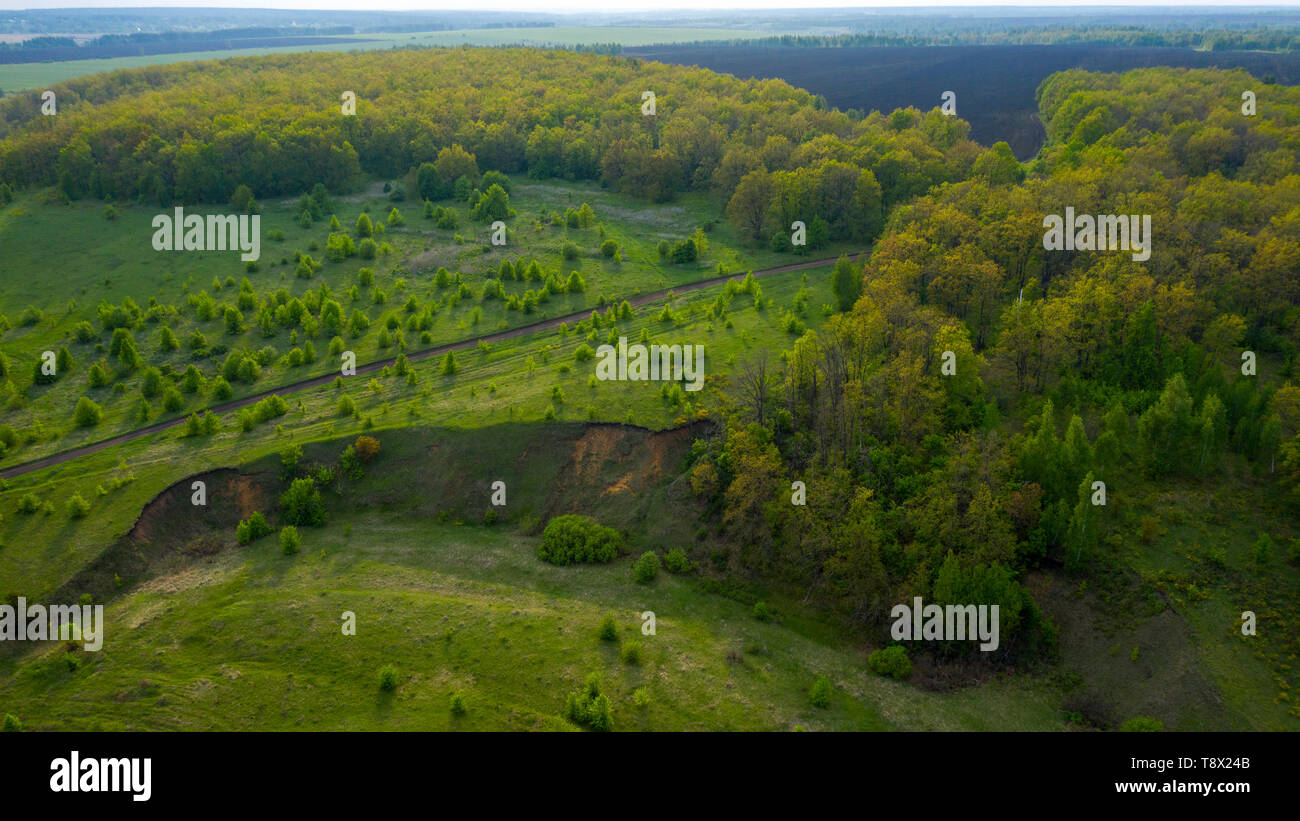 dirt road through meadows, forests, fields from a bird's-eye view, with ...