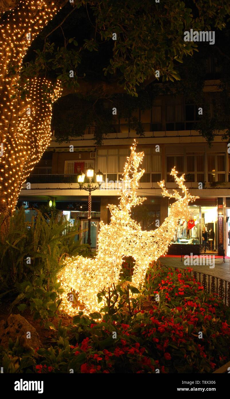 Christmas reindeer made from white LED lights in the Plaza de la ...