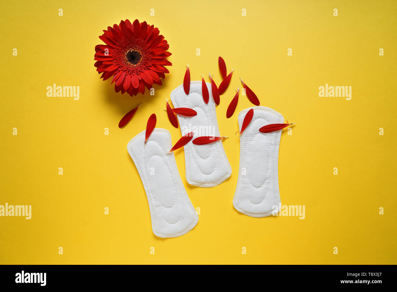 Menstrual pads with red flower on color background Stock Photo - Alamy