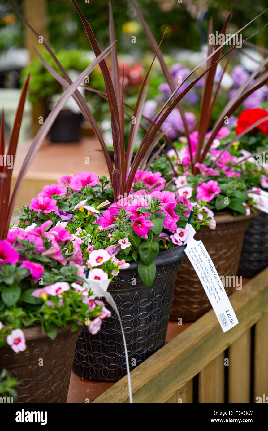 Planted containers hi-res stock photography and images - Alamy