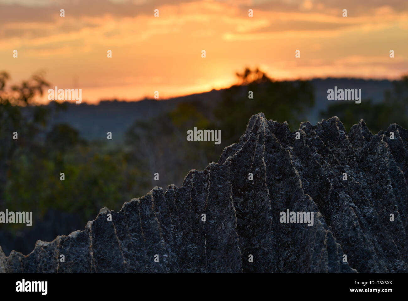 Close up of Karst limestone formation in the Tsingy de Bemaraha at ...