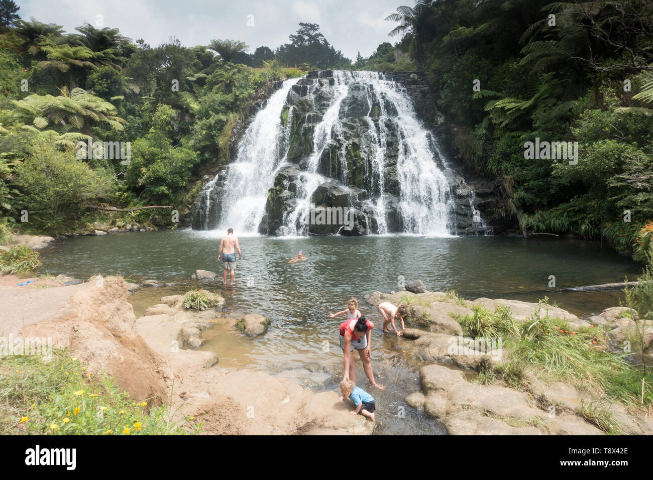 Owharoa waterfall hi-res stock photography and images - Alamy