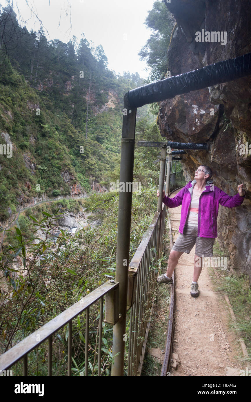 A walking track on the old gold mine paths, the Karangahake Windows ...