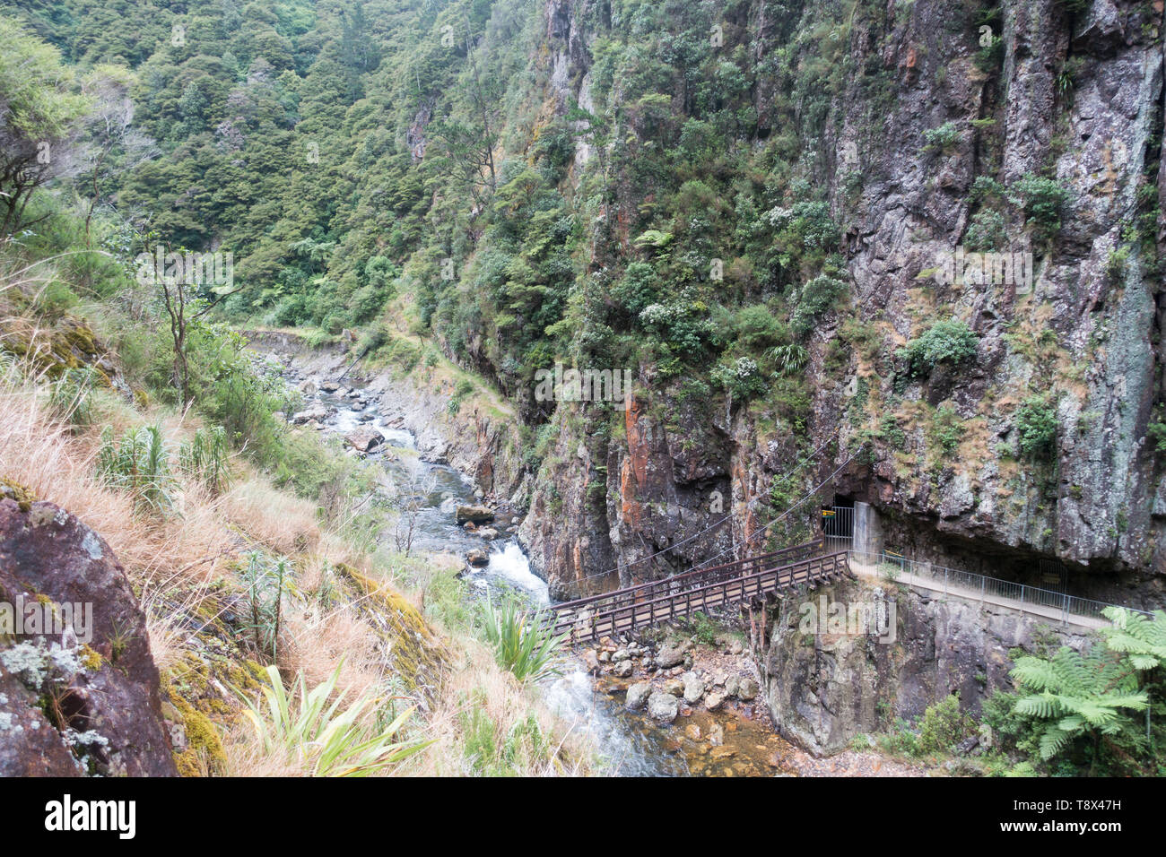 A walking track on the old gold mine paths, the Karangahake Windows ...