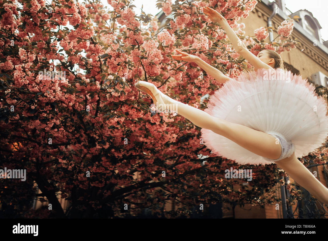 Ballerina jumping in twine pose dressed in a beautiful tutu against the ...