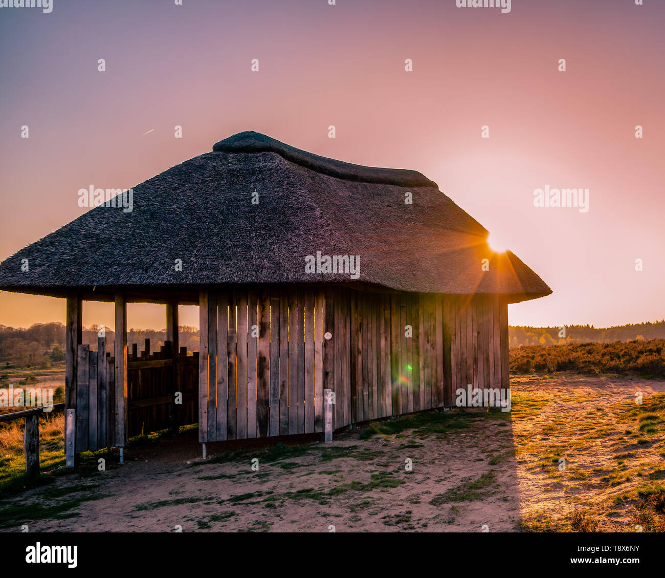 Sunset in nature park Luneburger Heide, Northern Germany Stock Photo ...