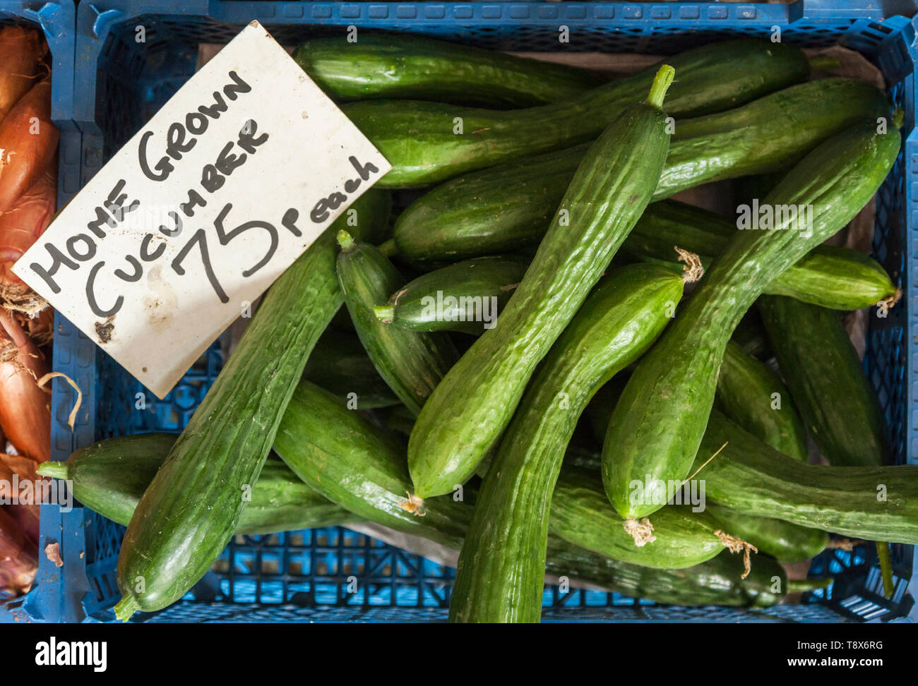 Seedless cucumbers hi-res stock photography and images - Alamy