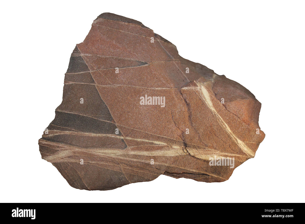 Rock sample sandstone hi-res stock photography and images - Alamy