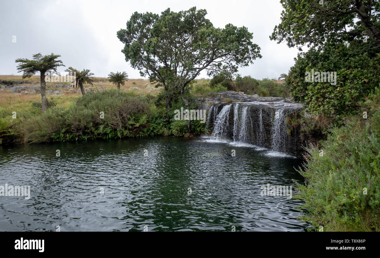 The Mac Mac Pools in the Blyde River Canyon, Panorama Route near ...