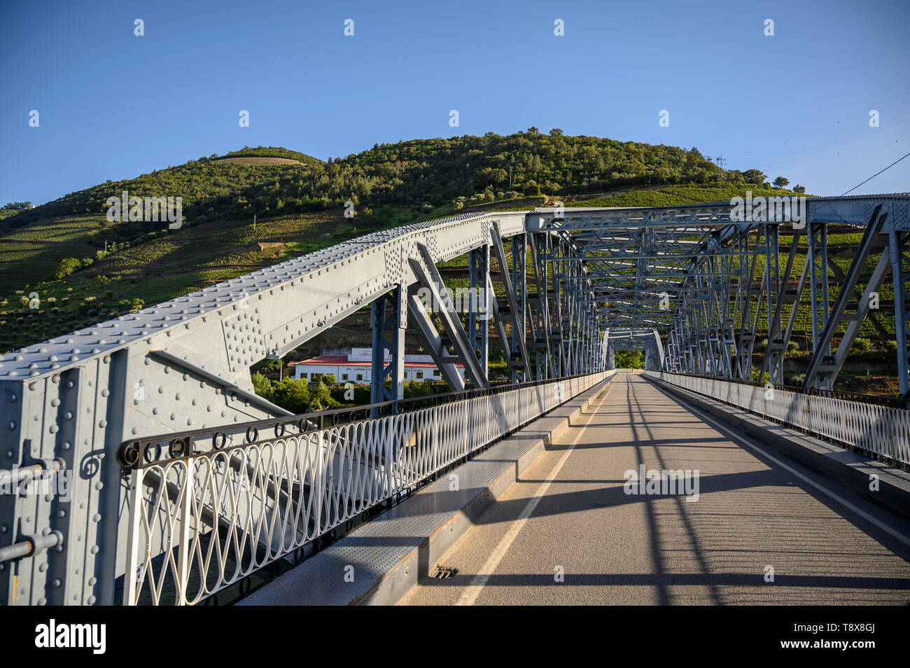 Gustave Eiffel Bridges