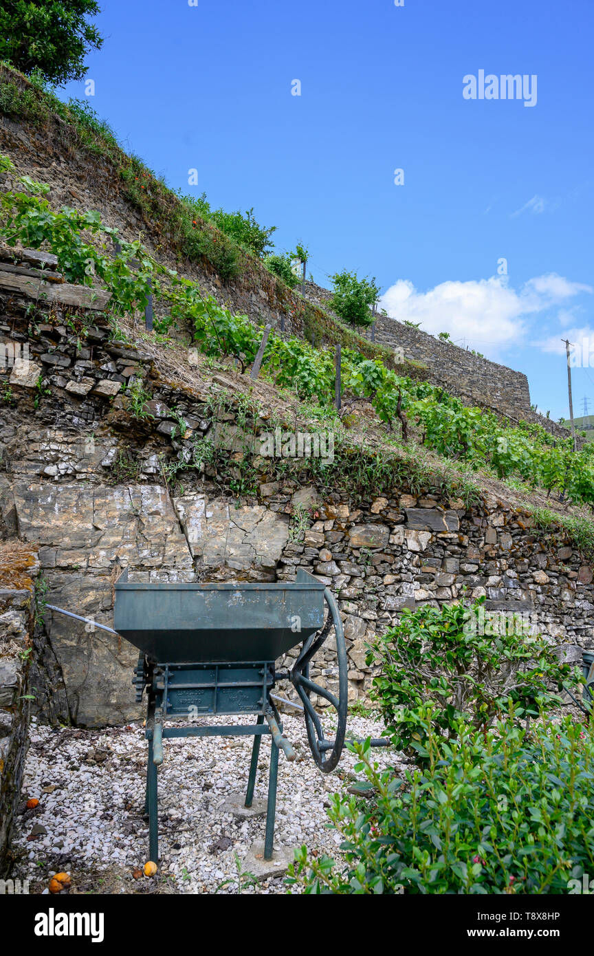 Grape press hi-res stock photography and images - Alamy