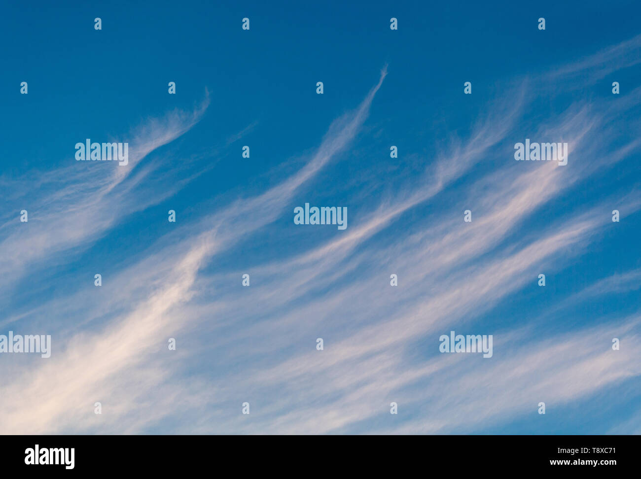 Sieversdorf, Germany. 14th May, 2019. Cirrus clouds in the blue sky ...