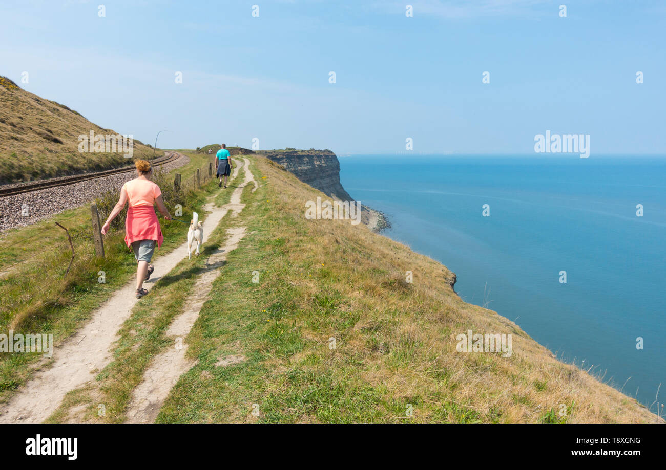 Walker on The Cleveland Way national trail footpath on coastal stretch ...