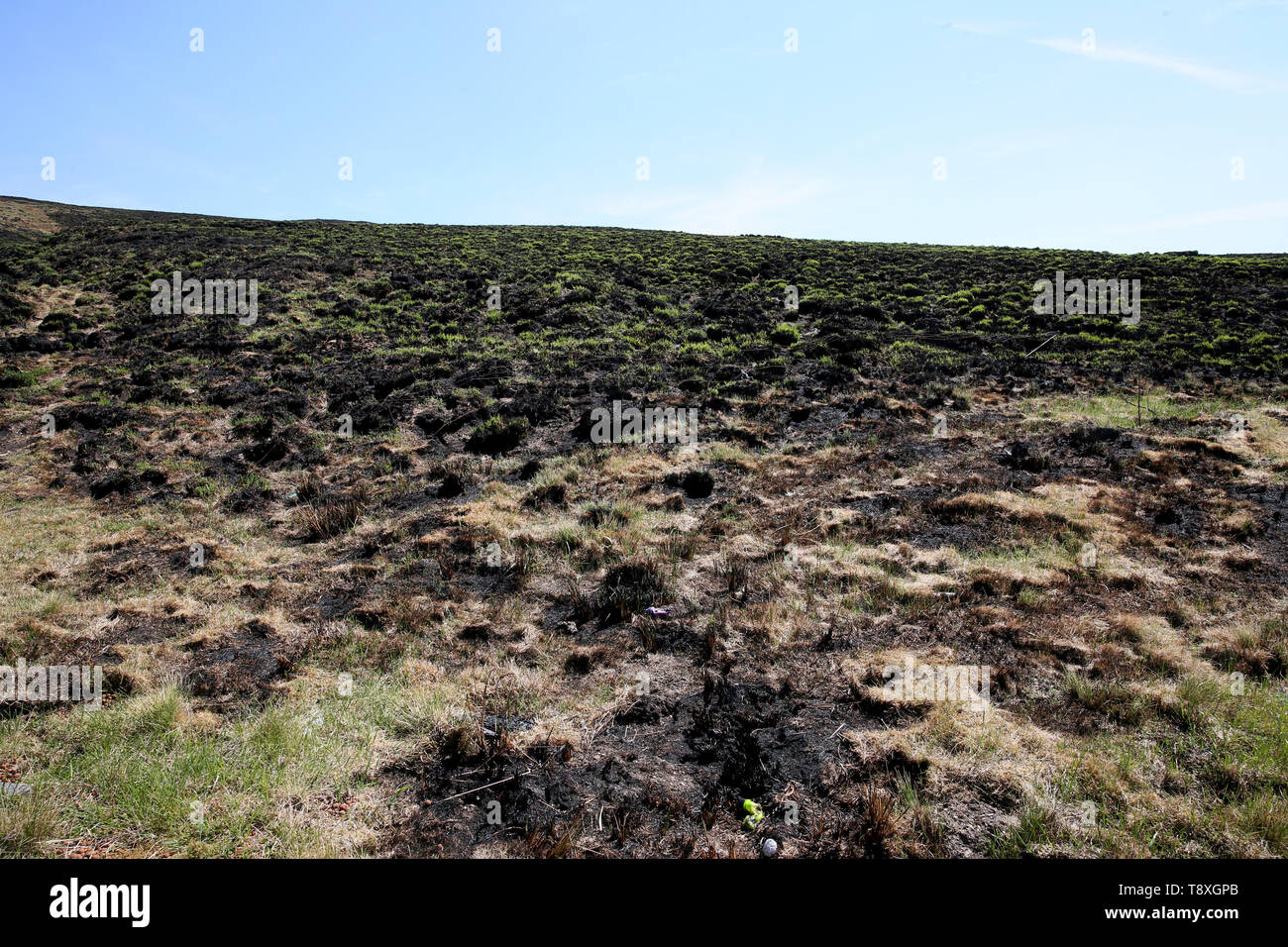 Heather marsden hi-res stock photography and images - Alamy