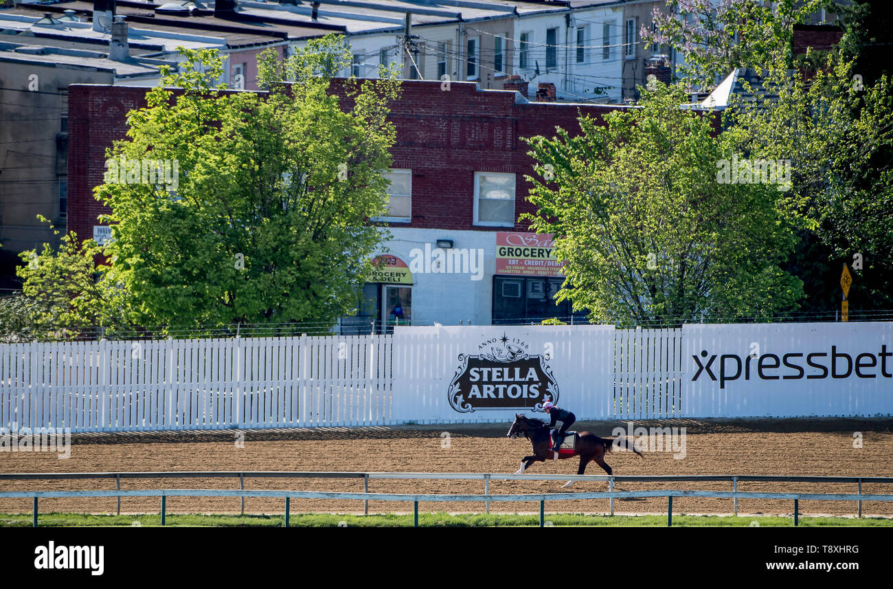 Baltimore, MD, USA. 15th May, 2019. May 15, 2019 : War of Will ...