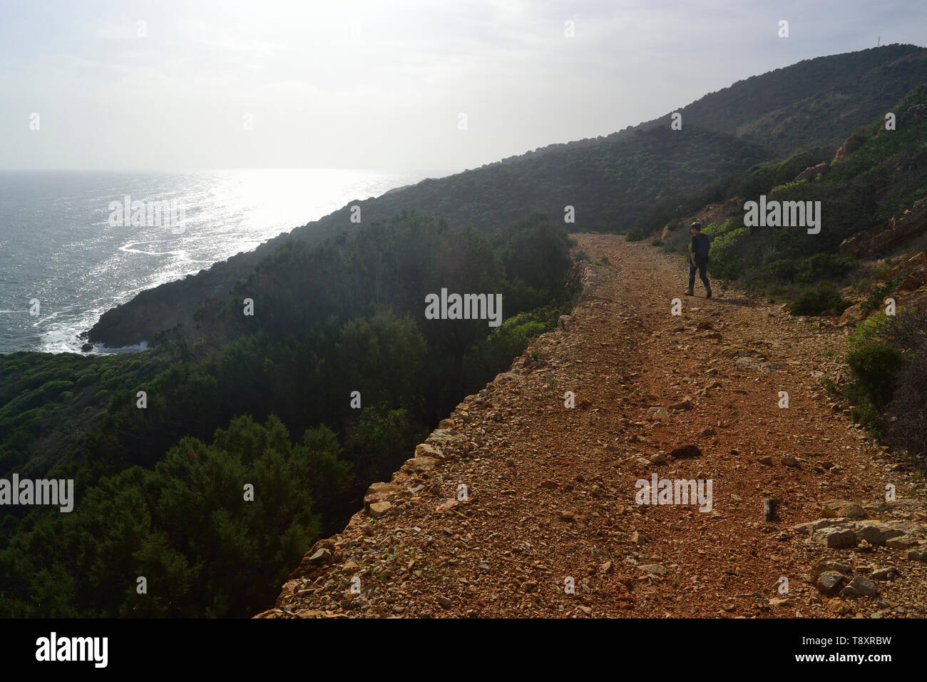 Ancient Roman Road of Bithia Stock Photo - Alamy