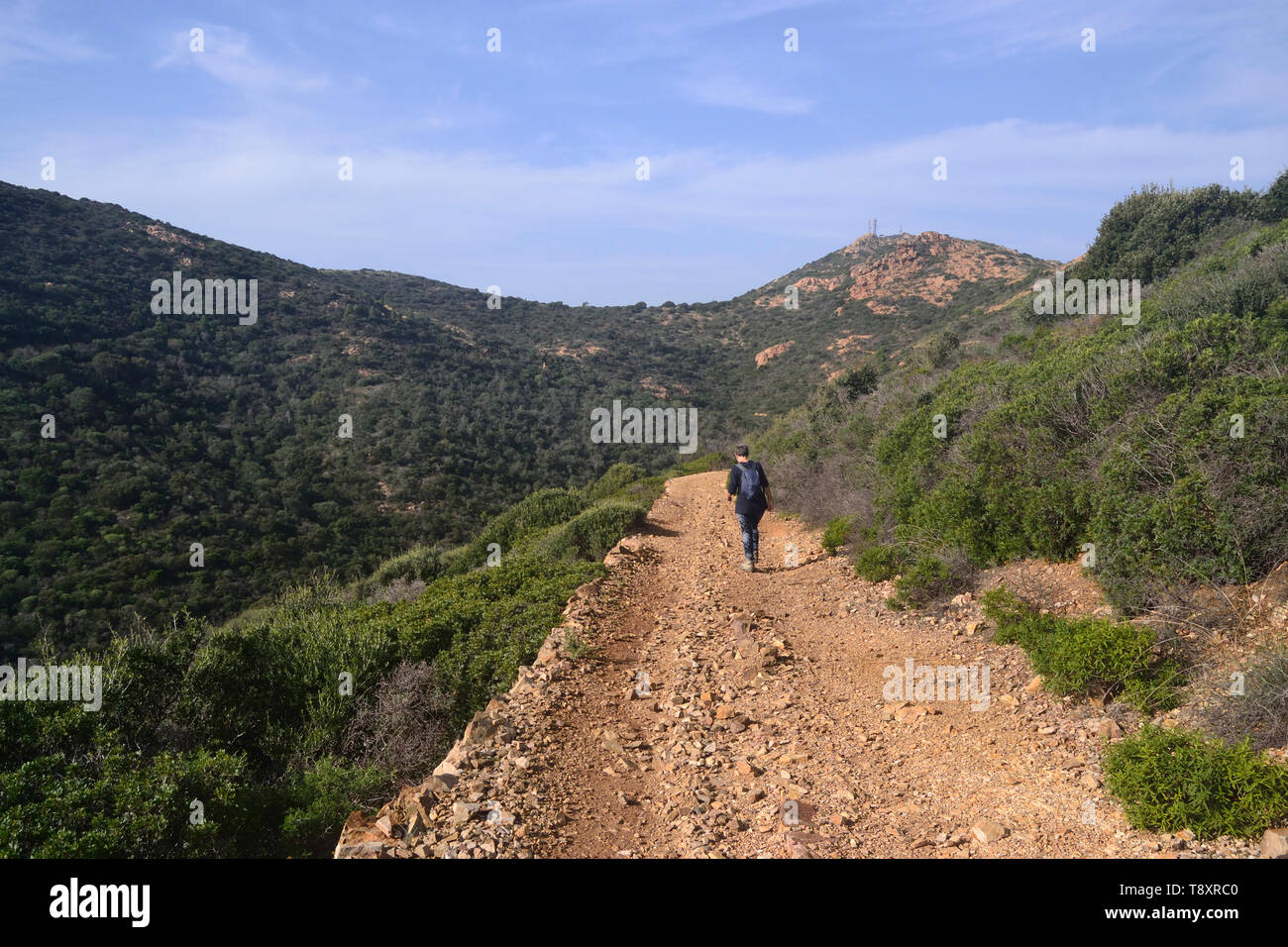 Bithia sardinia hi-res stock photography and images - Alamy