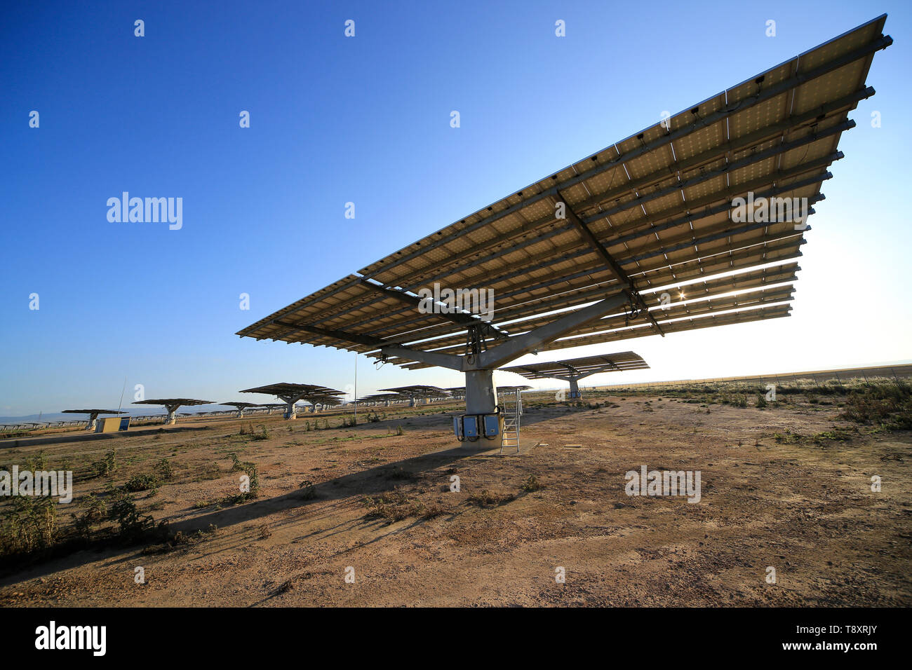 Solar panel array pointing to a clear blue sky in Spain Stock Photo - Alamy