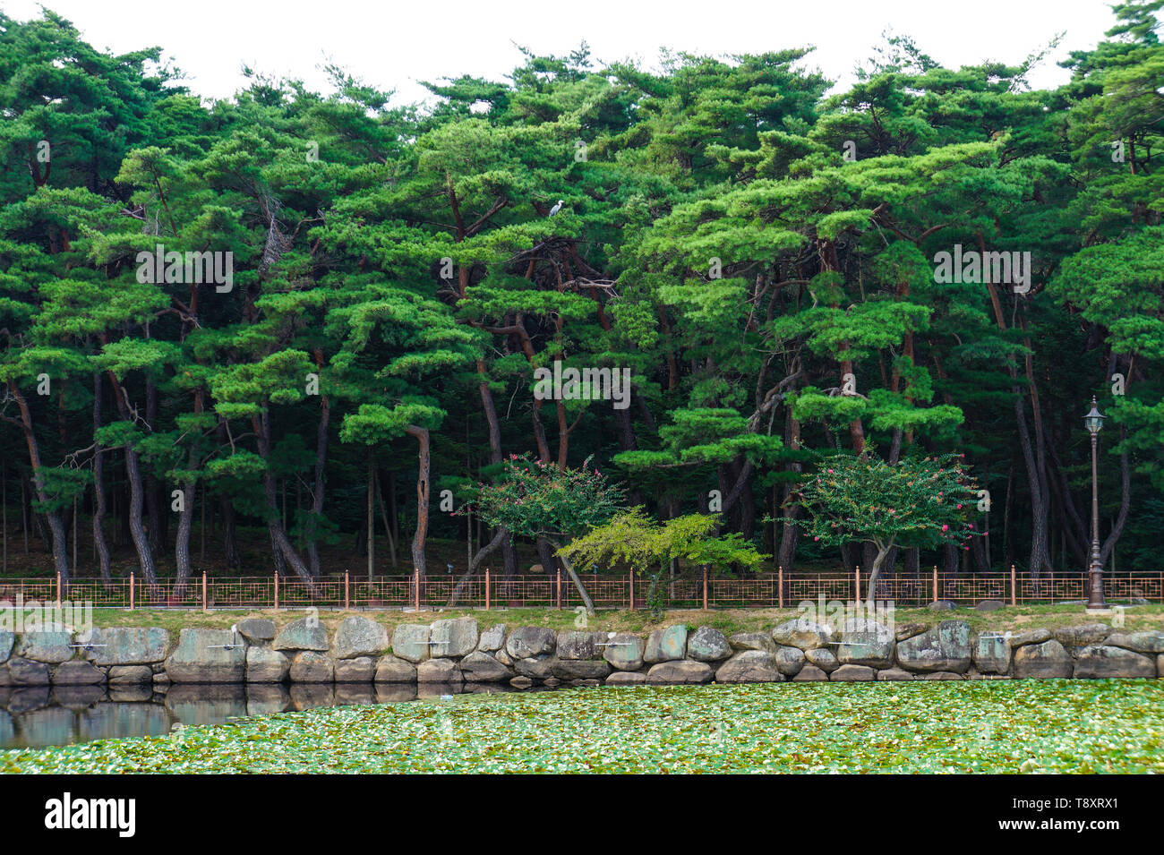 south korea Gyeongju Pond Scenic Area Stock Photo - Alamy