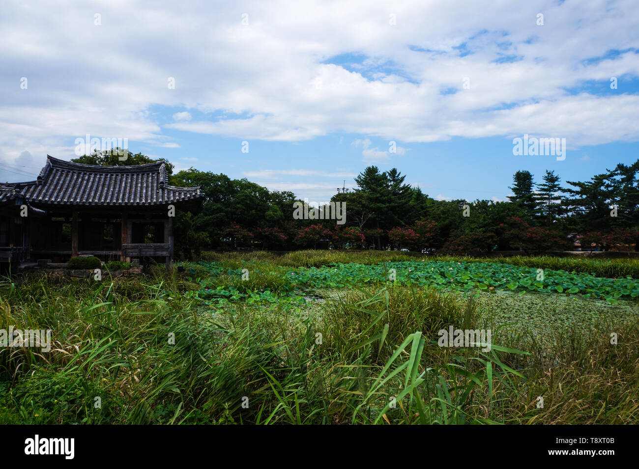 south korea Gyeongju Pond Scenic Area Stock Photo - Alamy