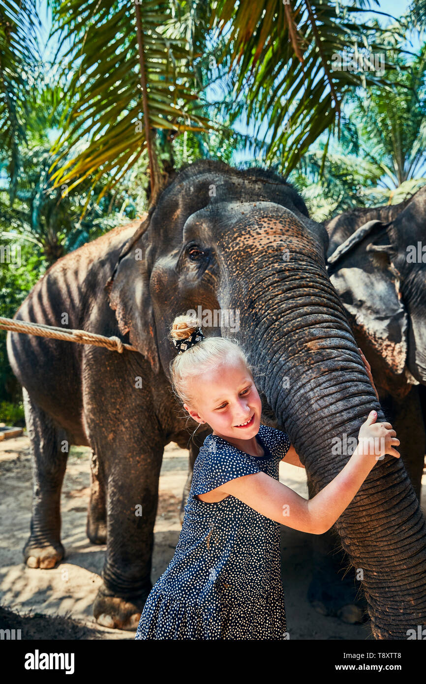 Cute little girl smiling while hugging the trunk of an Asian elephant ...