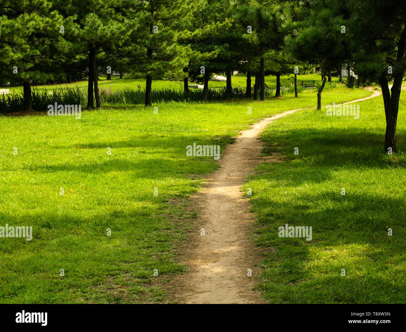 a walk in a neighborhood park Stock Photo - Alamy