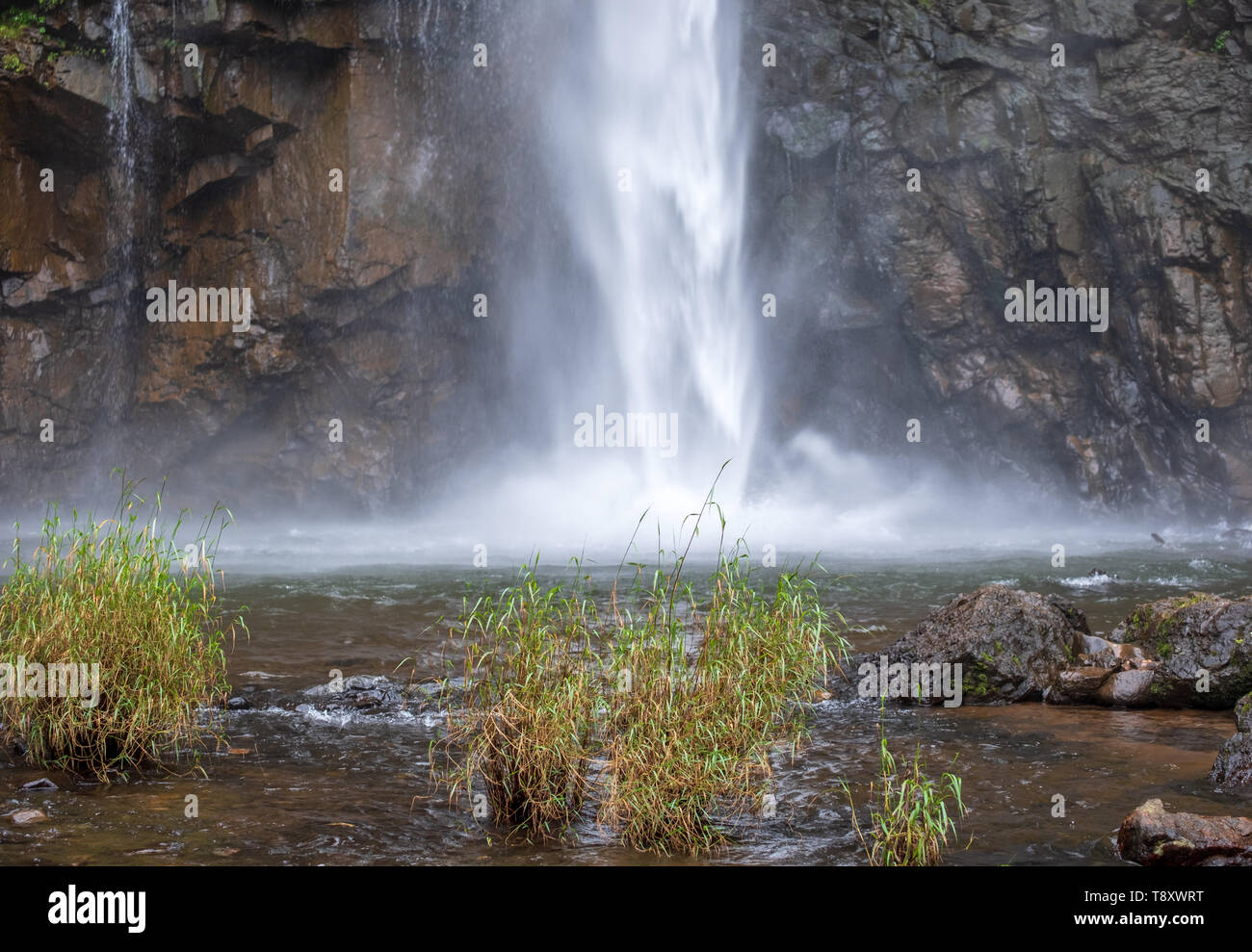 Forest falls graskop hi-res stock photography and images - Alamy