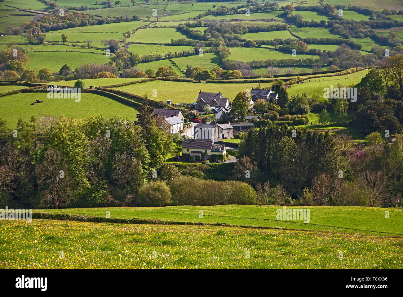Gwenddwr Village, Nr Erwood, Powys,Wales,UK Stock Photo - Alamy
