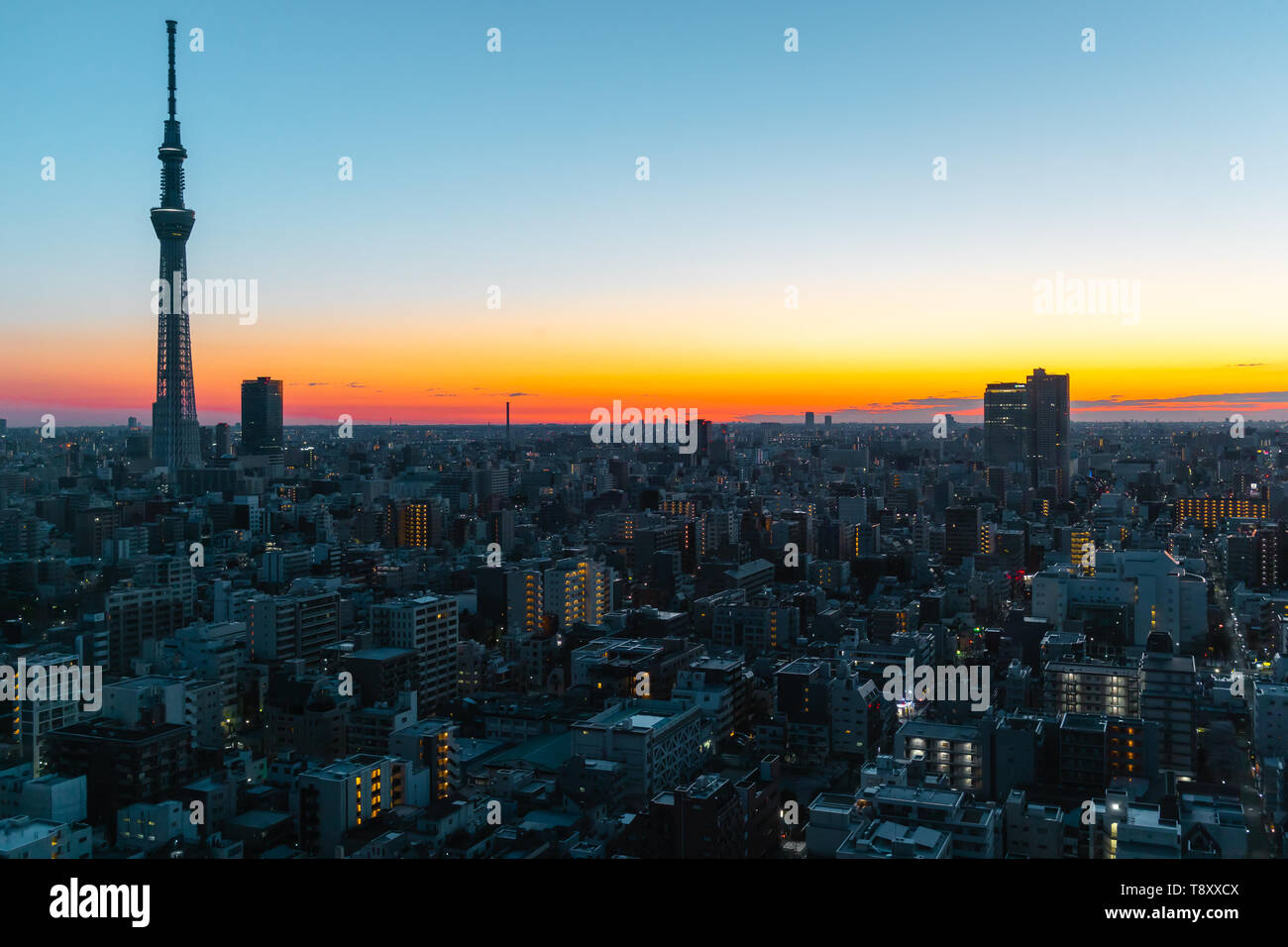 Tokyo skyline at sunrise/ sunset with SkyTree visible Stock Photo - Alamy