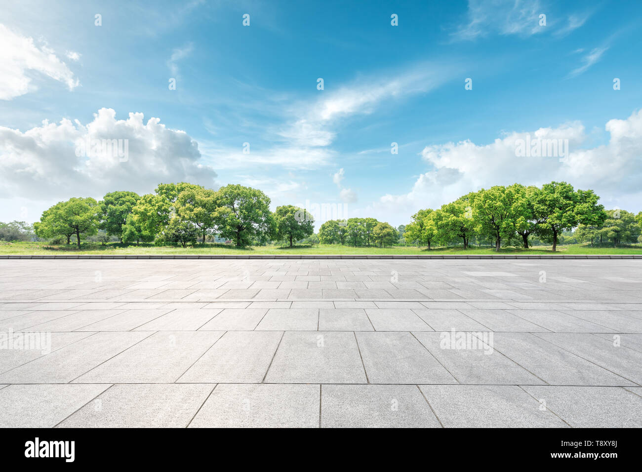 Empty square floor and green forest natural landscape Stock Photo - Alamy